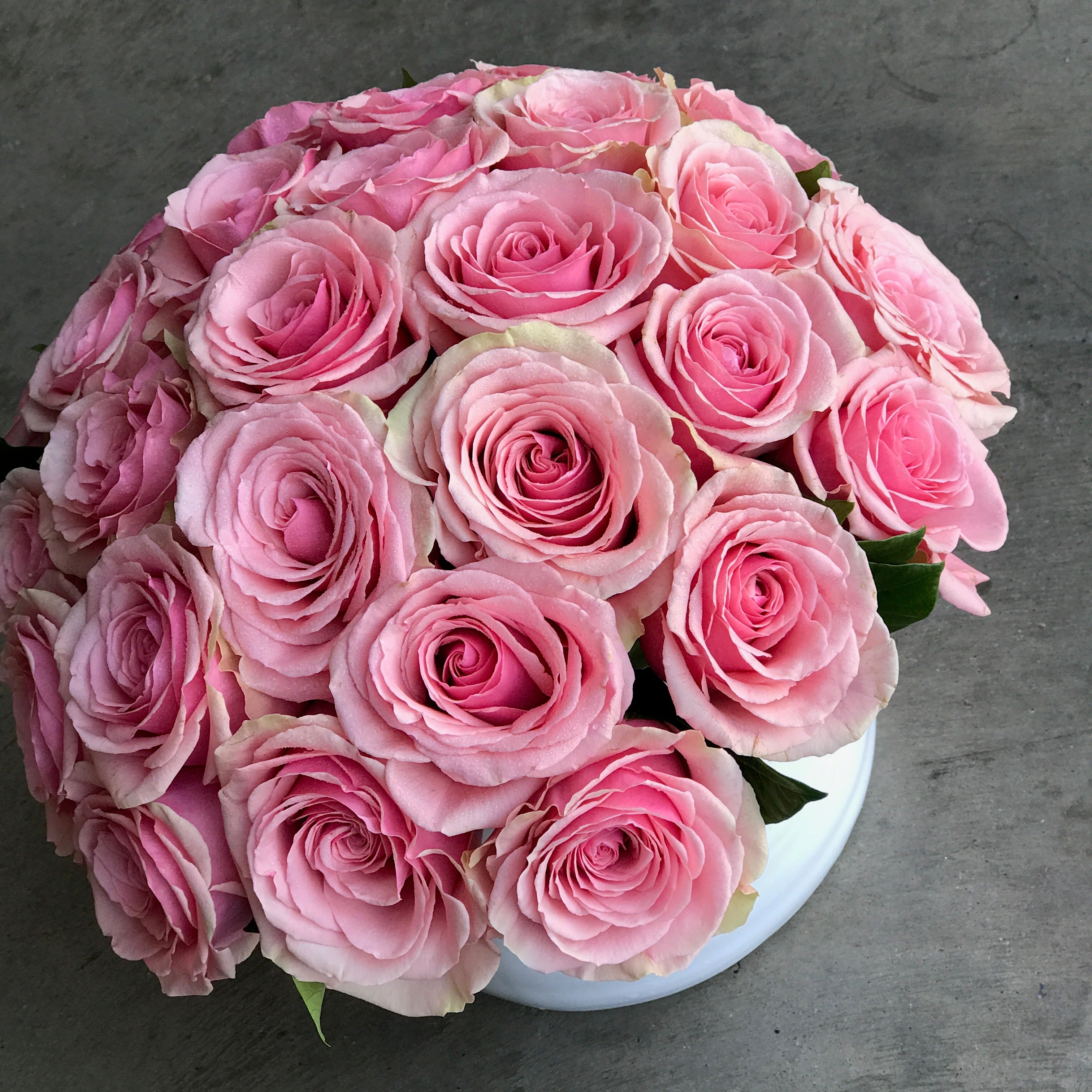 park cities petals